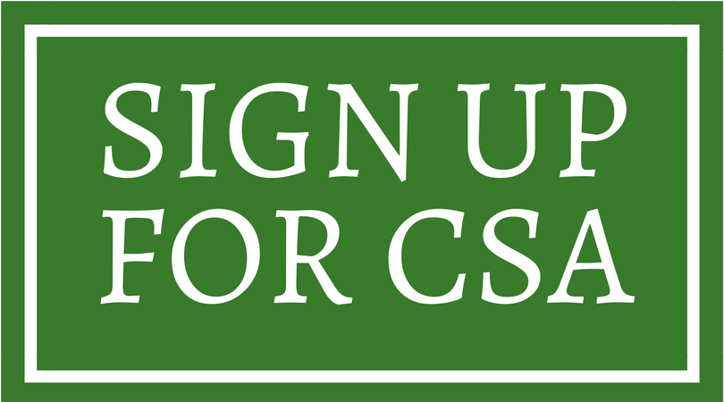 Soil & Seed Farm Stand - The Farm at South Mountain